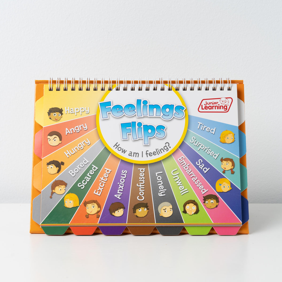 Junior Learning Feelings Flips — The OT Store