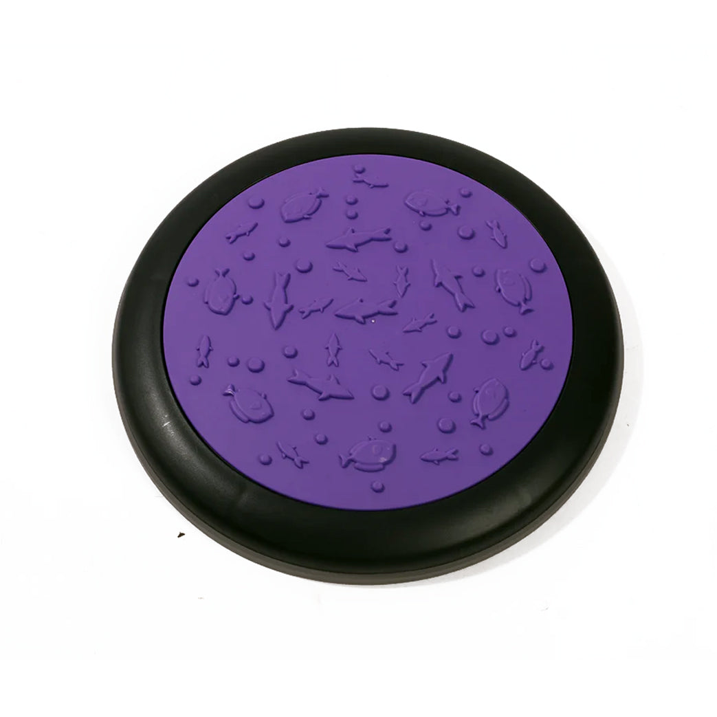 Rainbow Sensory Balance Discs — The OT Store