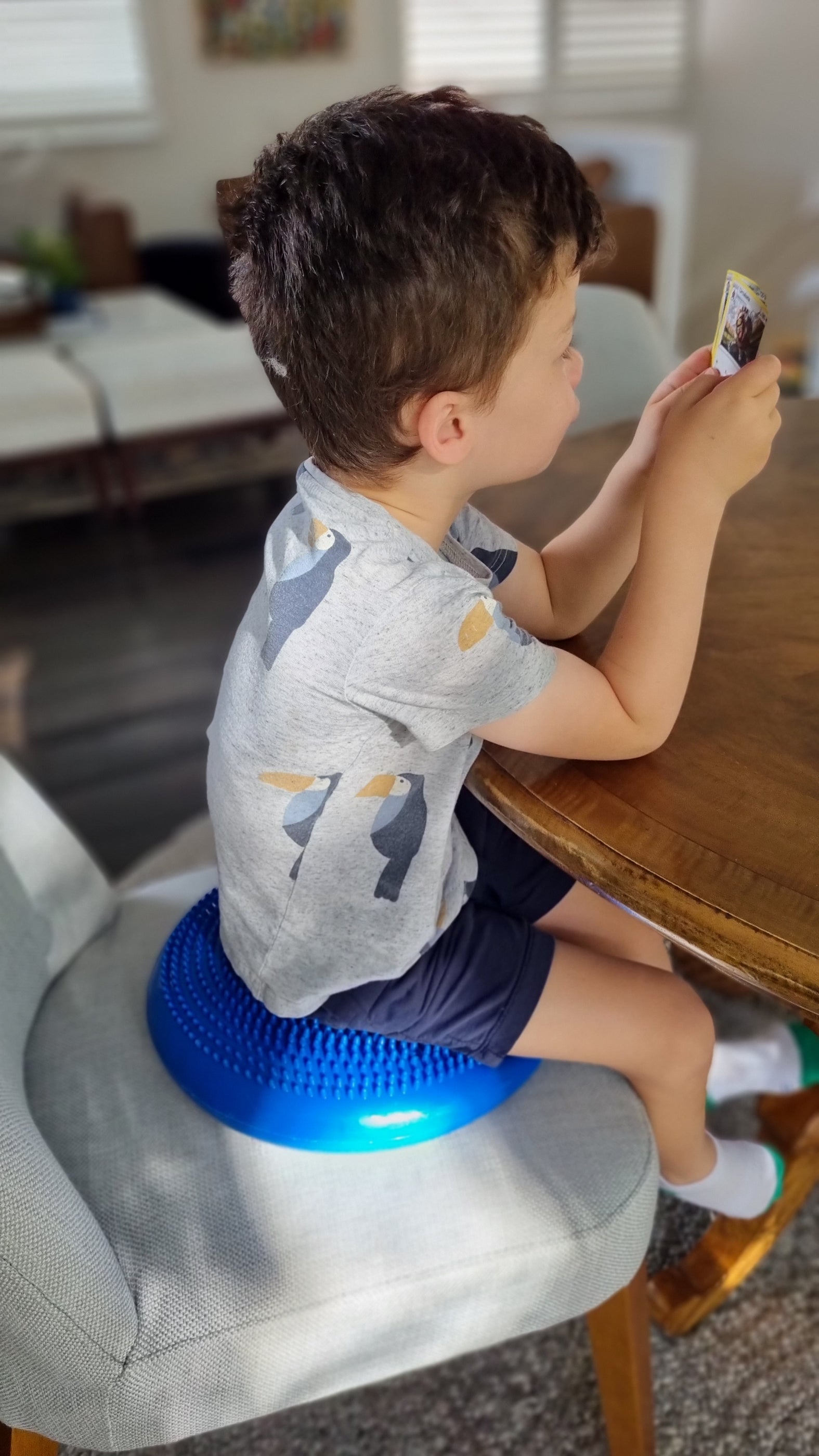 Tactile Seating Cushion (Blue) — The OT Store